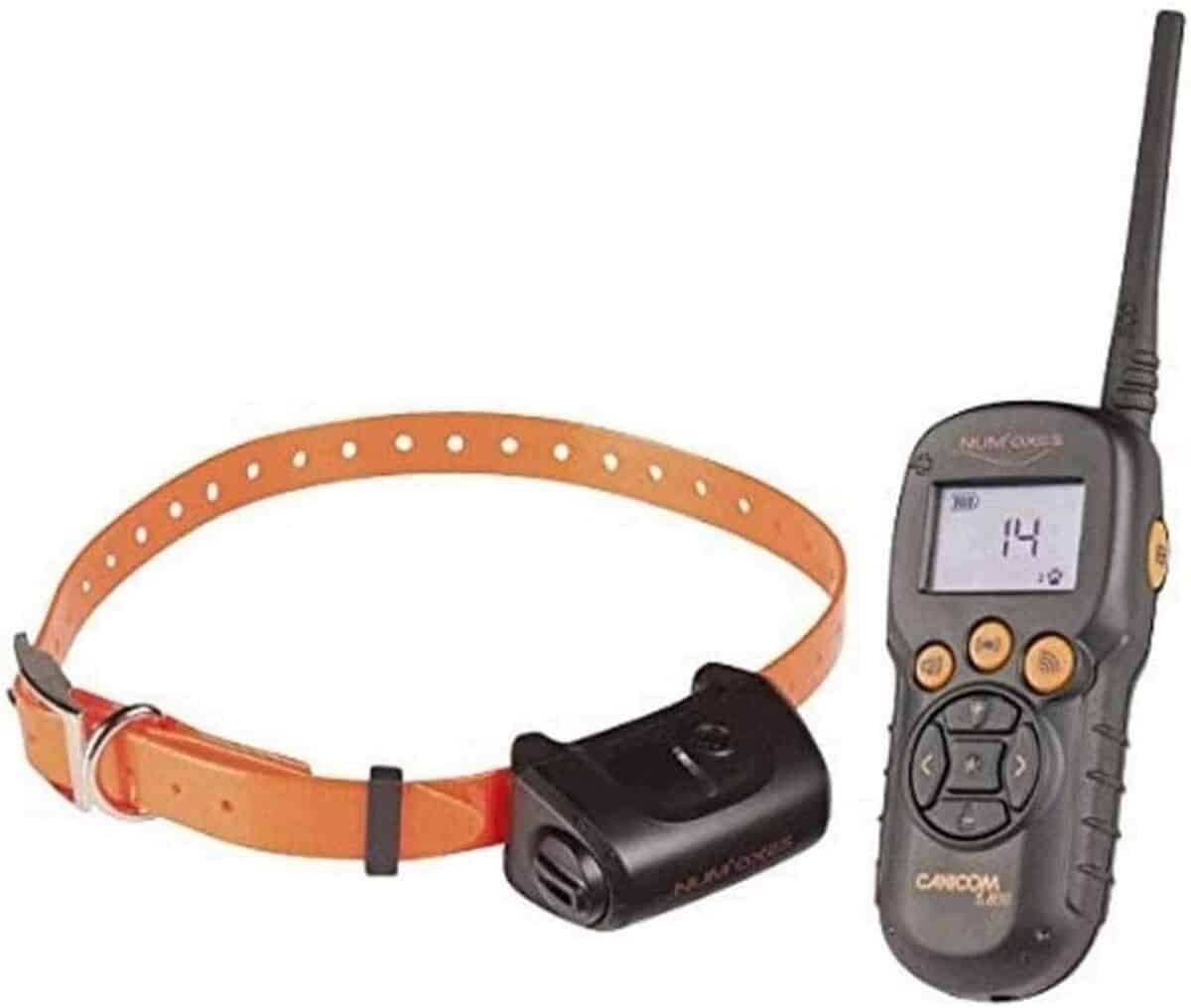 Découvrez notre avis sur le collier de dressage NUM'AXES CANICOM 5.800