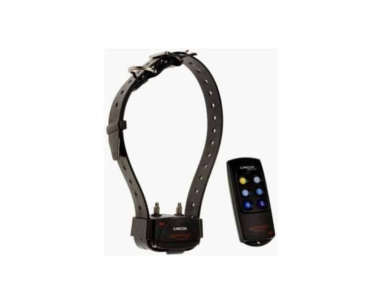 Test du collier de dressage Canicom 200 First de Num'Axes